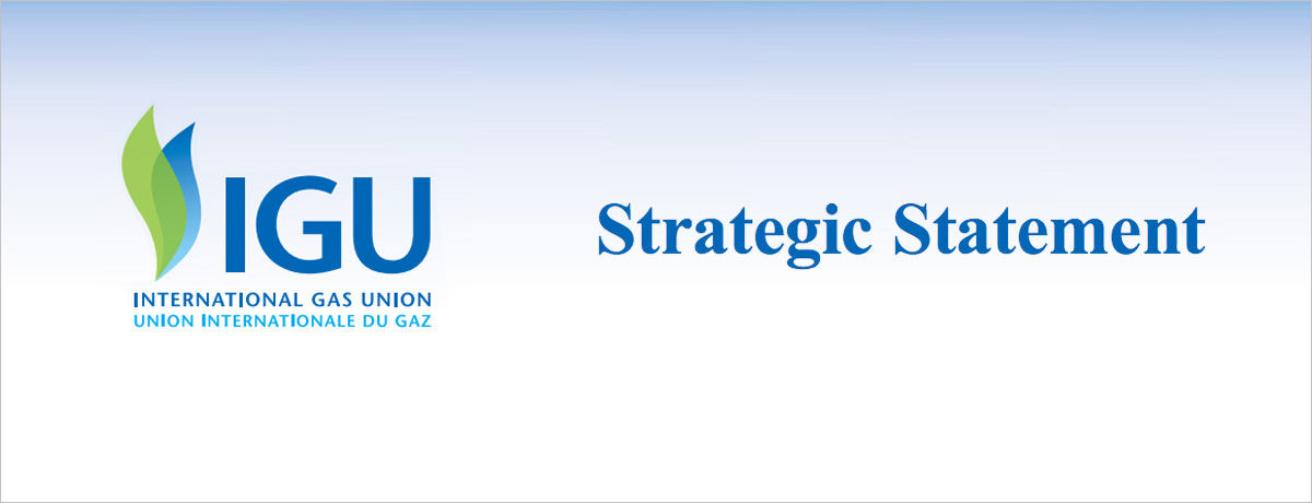 IGU Strategic Statement 2013 - NGC | NGC